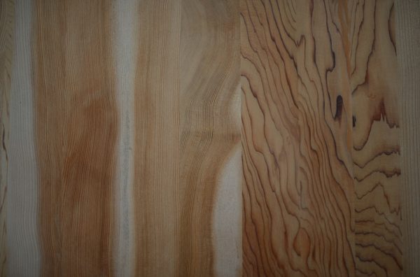 Natural Atlas cedar - Emery & Cie