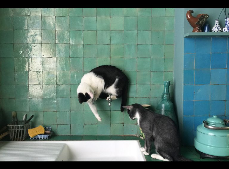 Square - Emery & Cie