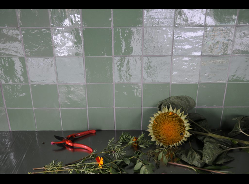 Plain colours and sizes – Emery & Cie